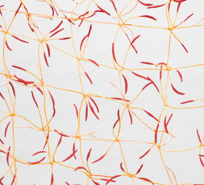 Art Madrid'24 – Luz Moreno Pinart – Geranium robertin (2023)