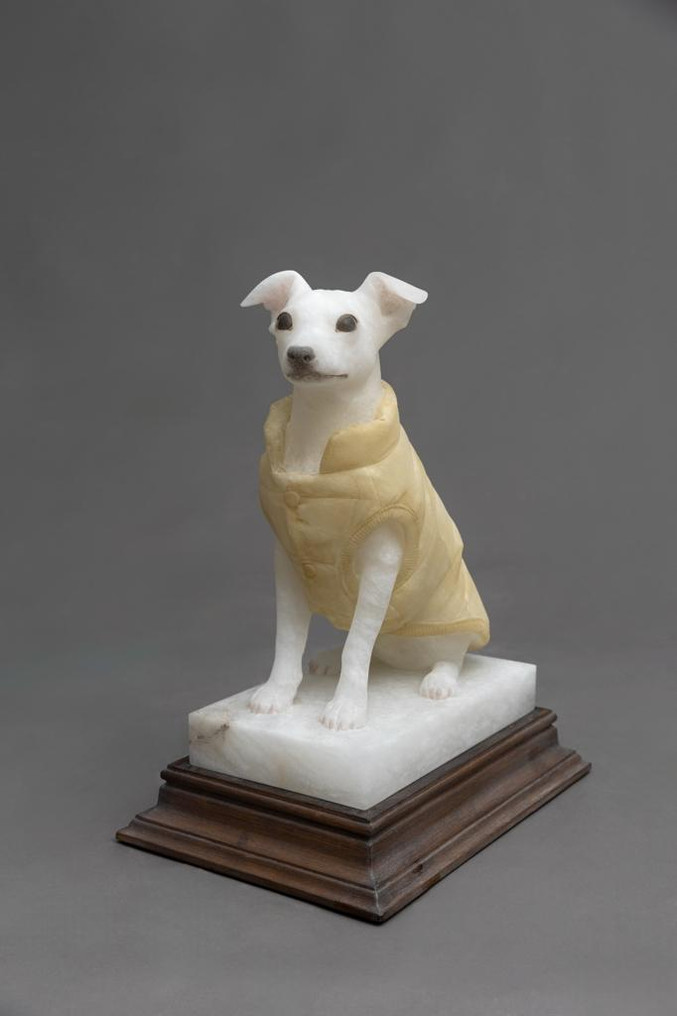 Art Madrid'24 – Gerard Mas – Golden Jacket (2023)